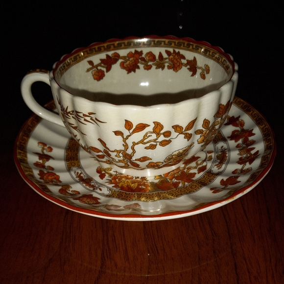 Spode | Dining | Spode Indian Tree Teacup And Saucer | Poshmark